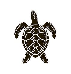 Image result for Turtle Life Cycle Free Printable