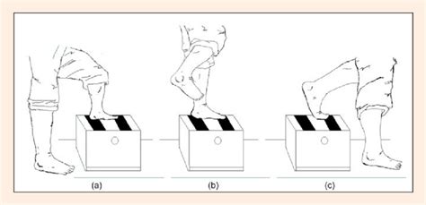 Image result for Step Over Line Exercise