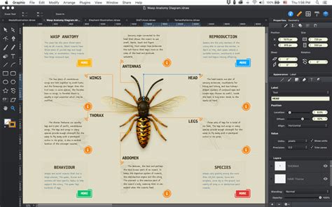 Image result for Mac Computer Graphic Design Software