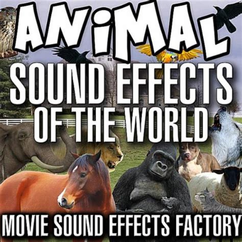 Image result for Audio Sound Effects