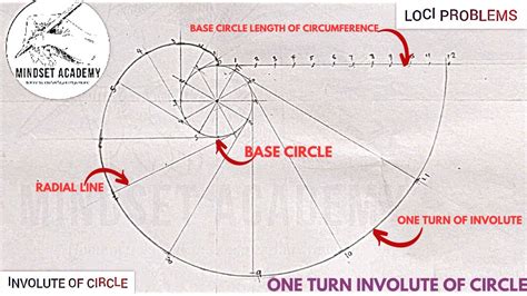 Image result for Involute Meaning