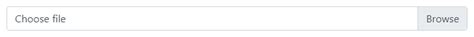 Image result for Bootstrap Custom File Input