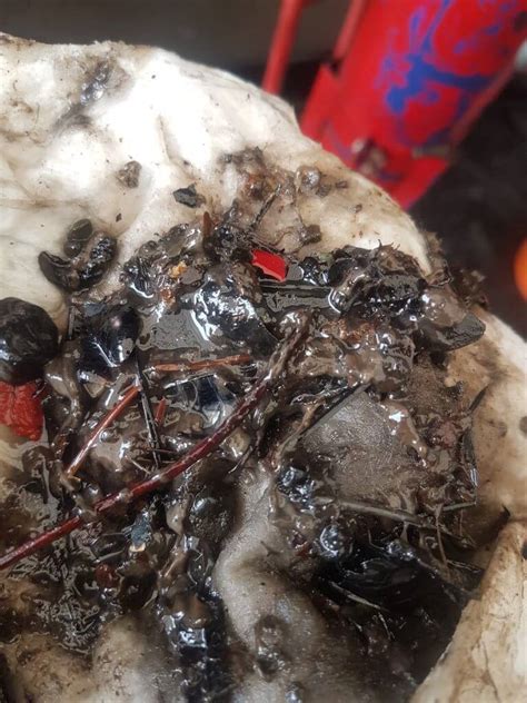 Image result for Clean Fuel Tank Sludge