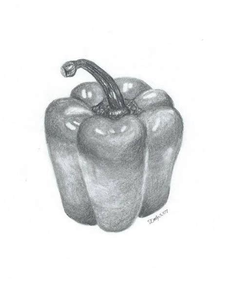 Realistic Fruit Art Drawings