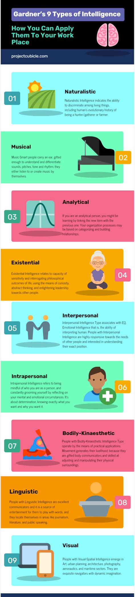 Image result for Different Types of Intelligence