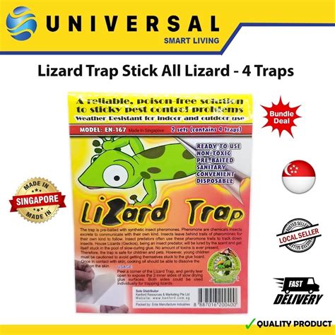 Image result for Lizard Traps