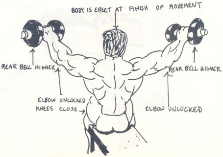 Image result for Side Lateral Raises Form