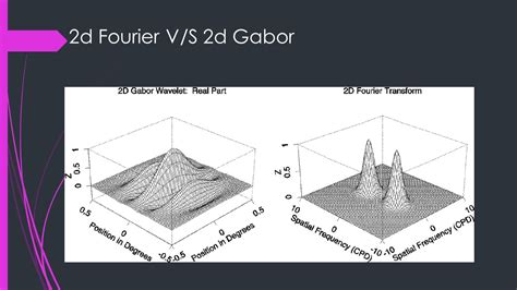 Image result for Gabor Filter Applications
