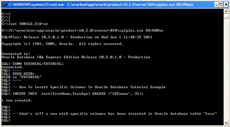 Image result for SQL Oracle Update
