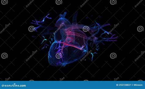 Image result for Heart Circulation Animation