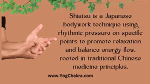 Image result for Basic Shiatsu