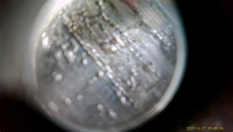 Image result for How to Rust Muzzleloader Barrel