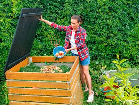 Image result for Backyard Composting DIY