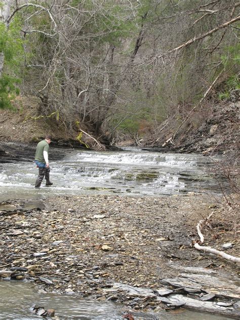 Image result for Agate Hunting Tips