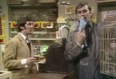 Image result for Monty Python Parrot