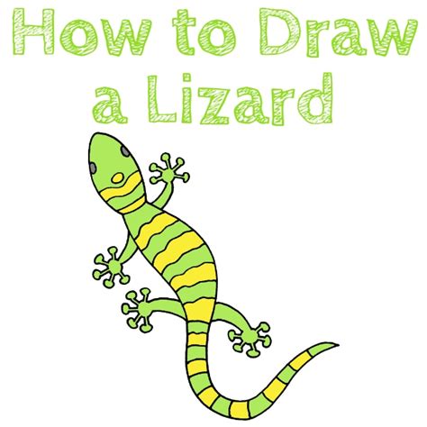 Image result for Simple Lizard