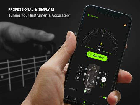 Image result for 12 String Tuner App Free