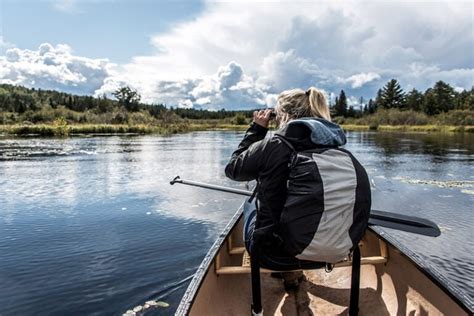 Image result for Magnification Strength Chart