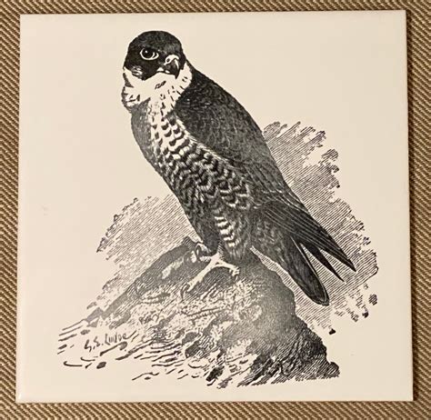 Image result for Norton Method Tile Test Pattern