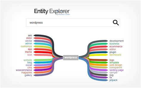 Image result for Entity Map
