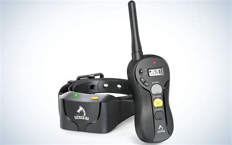 Image result for Sharp Training Collars for Dogs