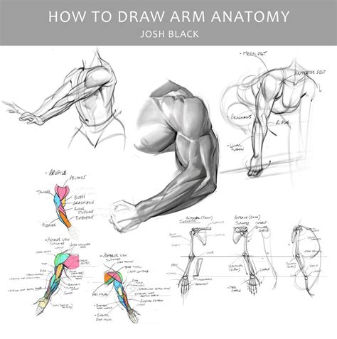 Image result for Arm Drawing Tutorial
