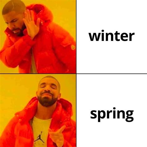 Image result for Spring Vivaldi Meme