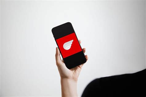 Image result for Codex Executor iOS