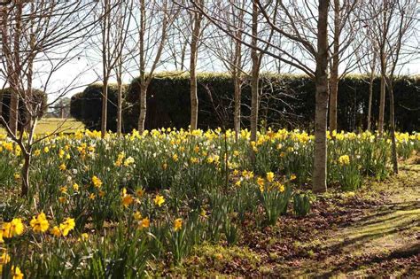 Image result for To Spring Up