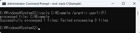 Image result for How to Check the Current Existing Access in Windows Using Command Prompt