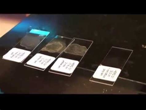 Image result for Smear Speed Tutorials