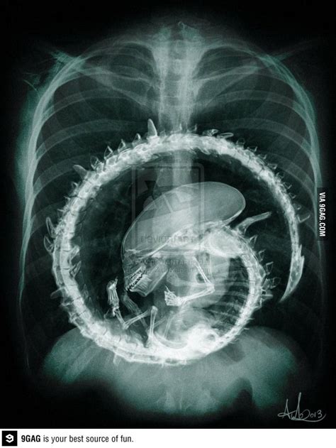 Image result for Alien Tummy Wielded