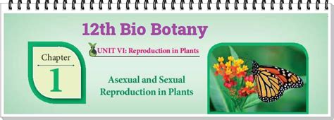 Image result for 12th Botany Book Back Answers