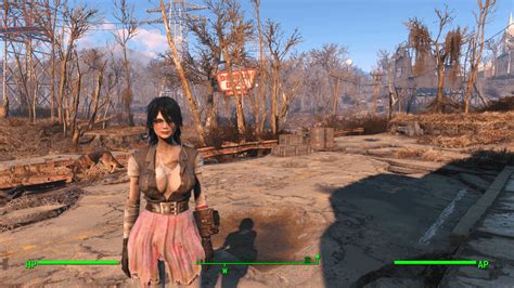 Image result for Fallout 4 CBBE Mod Installation
