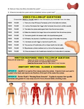 Image result for Endocrine System Crash Course Notes