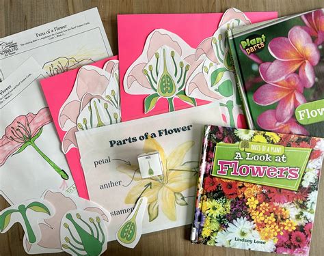 Image result for Classical Conversations Cycle 2 Weekly Lesson Plan