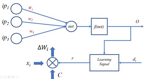 Image result for Perception Network Training Algorithm