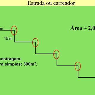 Image result for Cabarrus County Systematic Observation Sampling Example