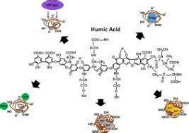Image result for Humic Compounds