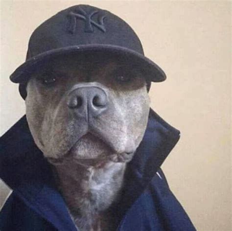 Image result for Unpredictable Profile Pic