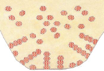 Image result for How Is Agate Formed