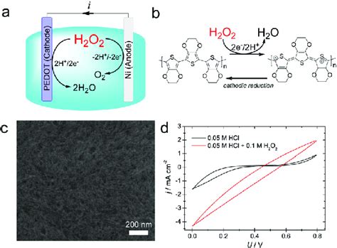 Image result for H2O2 Fuel Cell