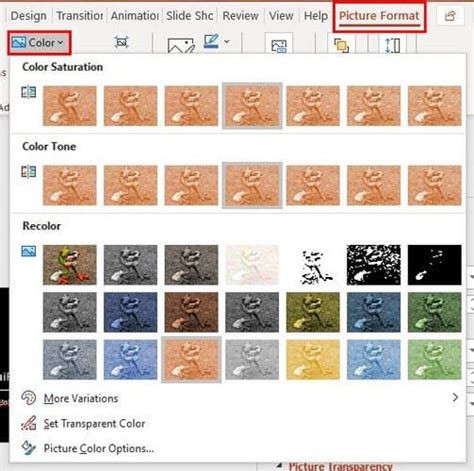 Image result for Set Transparent Color in PowerPoint Single Color in Picture