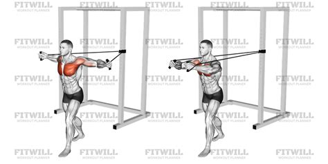 Image result for Banded Chest Fly Exercise