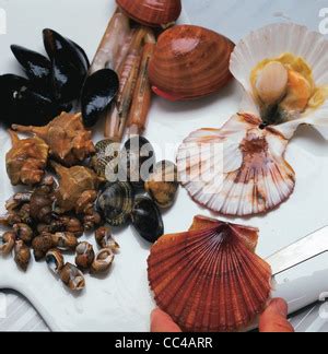 Image result for How to Clean Scallops