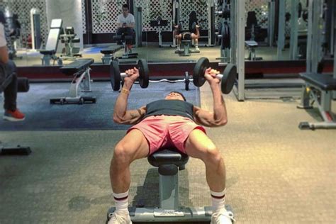 Image result for Fly Press Workout