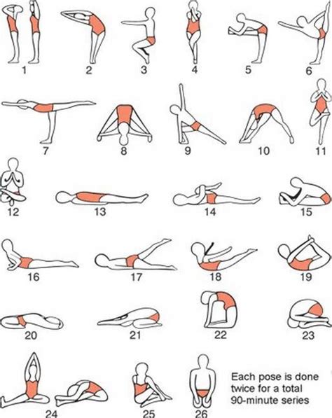 Image result for Dynamic Stretching Chart