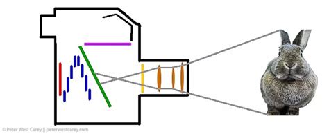 Image result for How Camera Sensor Works