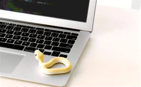 Image result for Codigo De Programacao