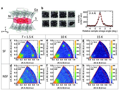 Image result for Neutron Elastic Scattering